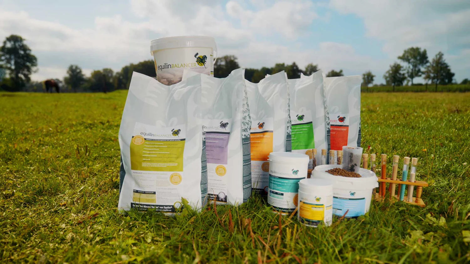 Heeft een paard supplementen nodig? - Startpakketten Equilin