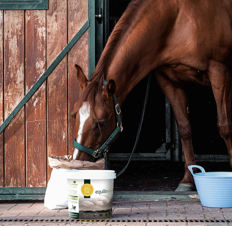 Equillin - aanvullingen op een hoogwaardig paarden rantsoen – Equilin
