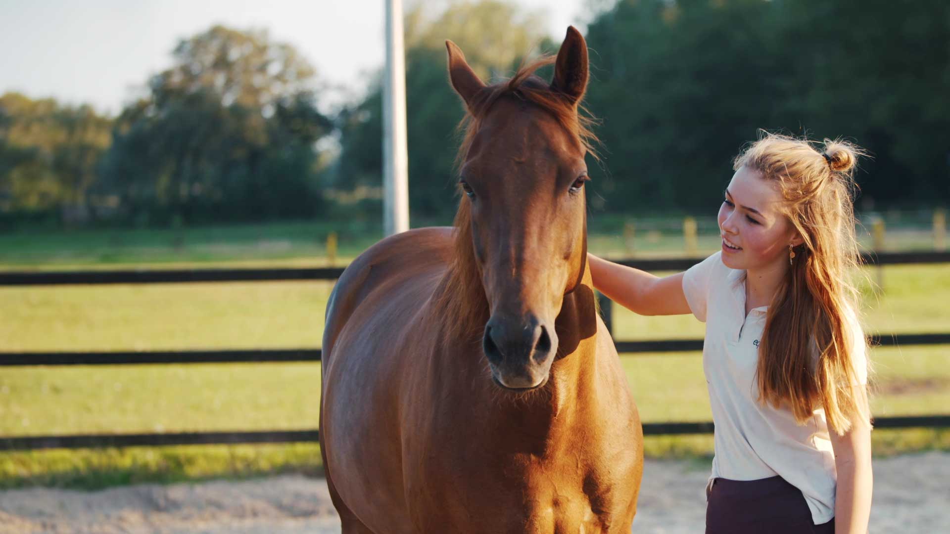 Het Nieuwe Voeren – Equilin BV